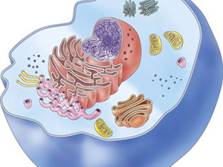 Above and Beyond - Cells | Teaching Resources