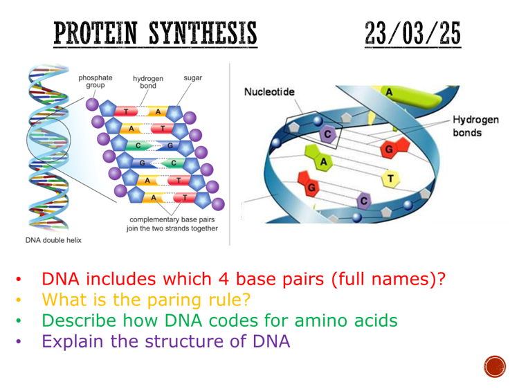 Protein synthesis (transcription/translation) - complete lesson (GCSE 1 ...