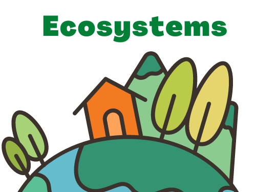 Primary ecosystems resources