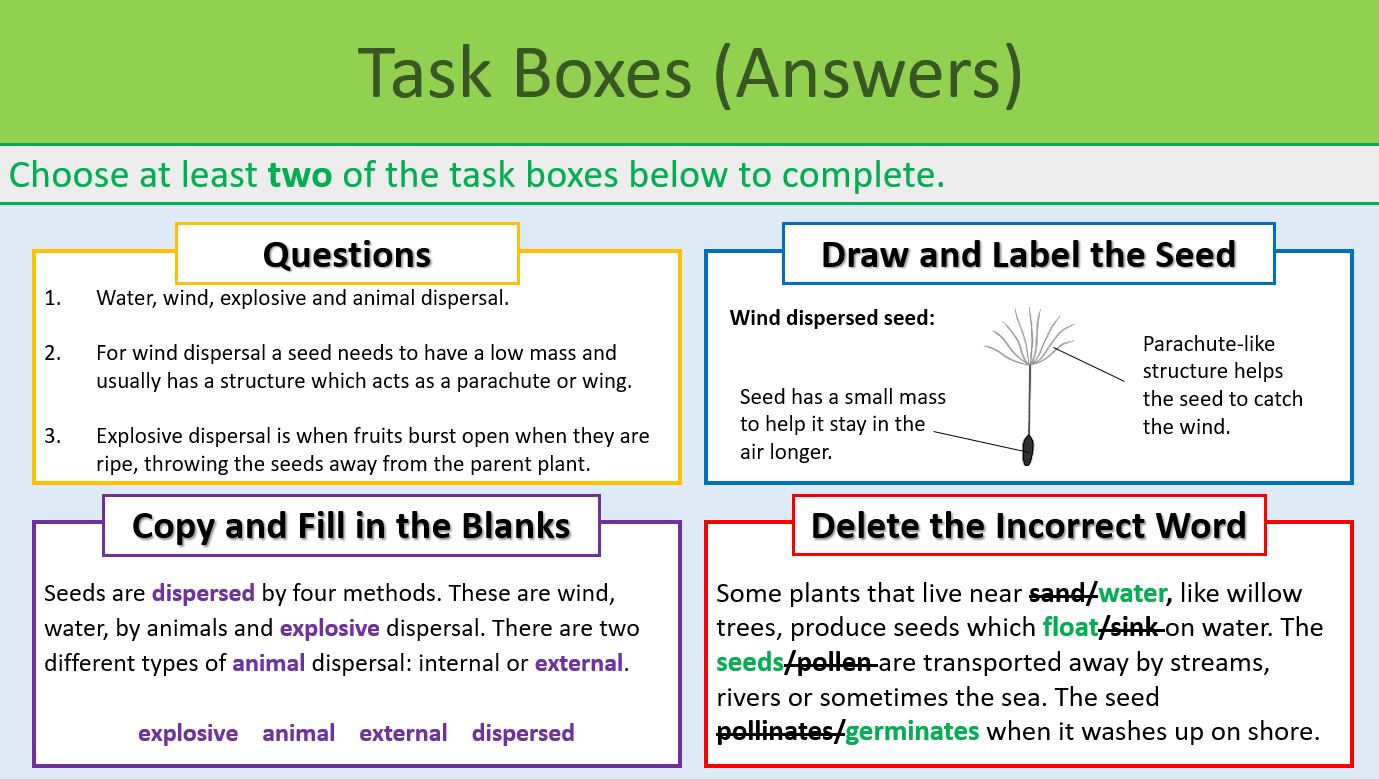 Seed Dispersal ~ KS3 ~ Year 7 | Teaching Resources