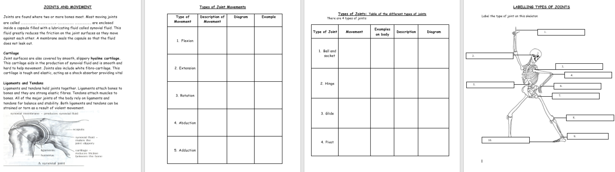 Movement Joints KS3 Activate Science | Teaching Resources