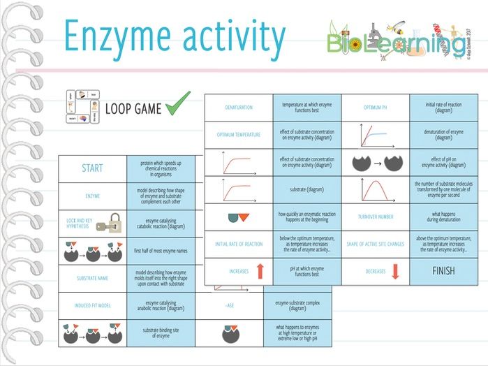 Enzyme activity - Loop Game (KS5) | Teaching Resources