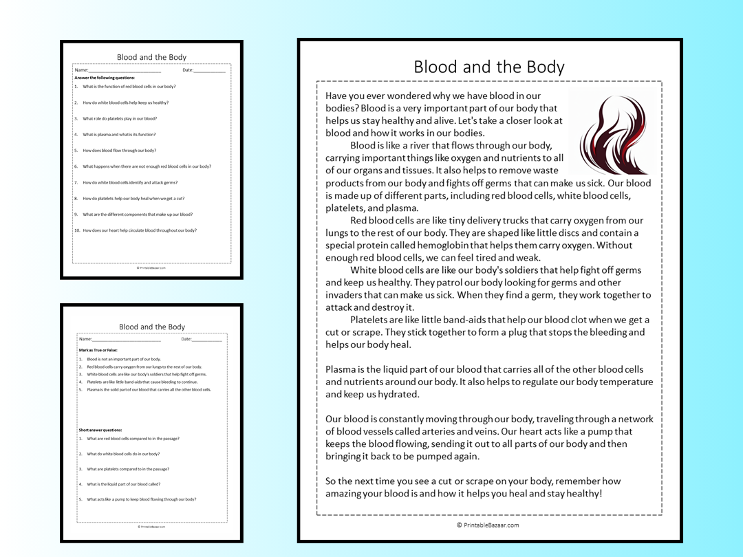 Blood and the Body Reading Comprehension Passage Printable Worksheet ...