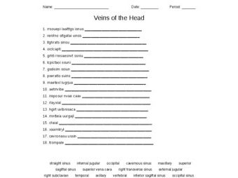 Veins of the Head Vocabulary Word Scramble for Anatomy or Physiology ...