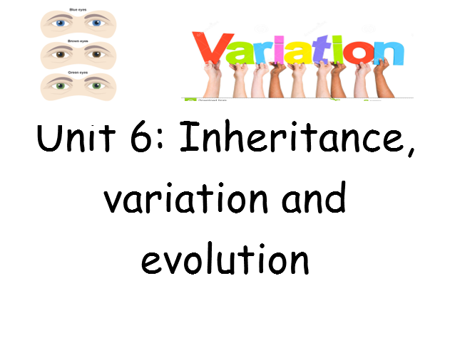 AQA Unit 6 part 2: Variation and Inheritance combined science revision booklet | Teaching Resources
