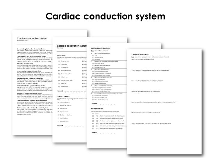 Cardiac conduction system | Teaching Resources