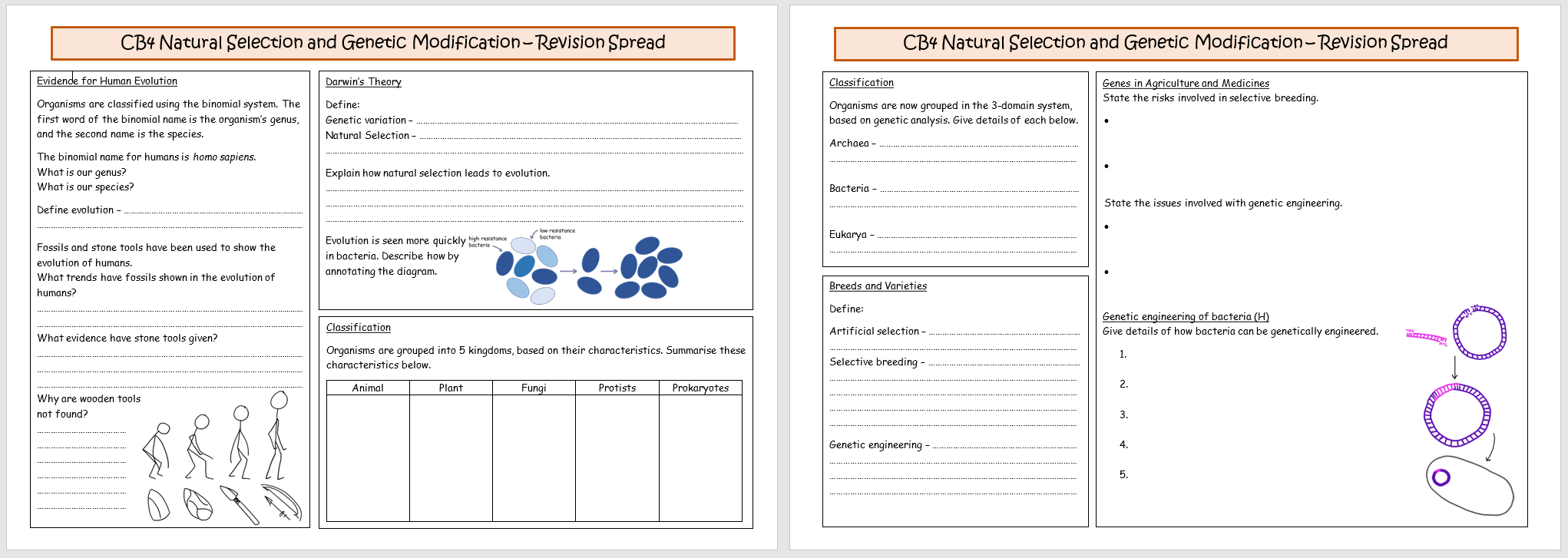 CB4 Natural Selection and Genetic Modification Revision Spread ...
