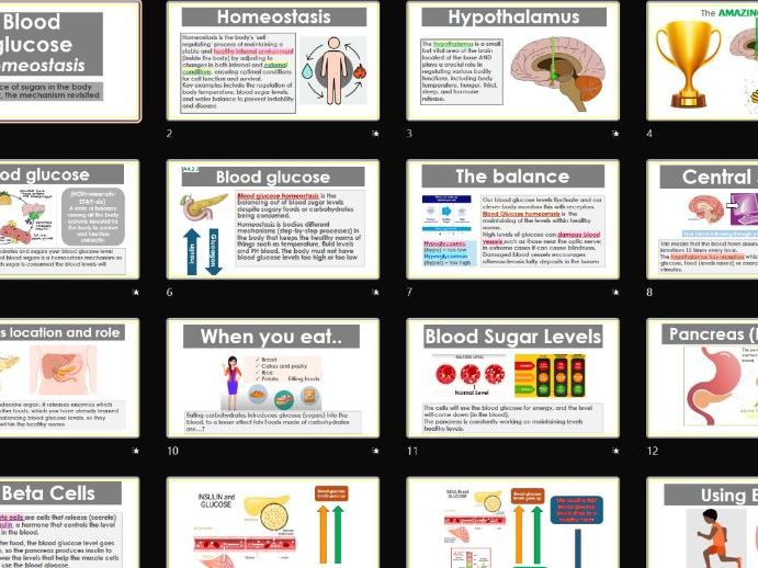 Blood glucose homeostasis PowerPoint - adaptable | Teaching Resources