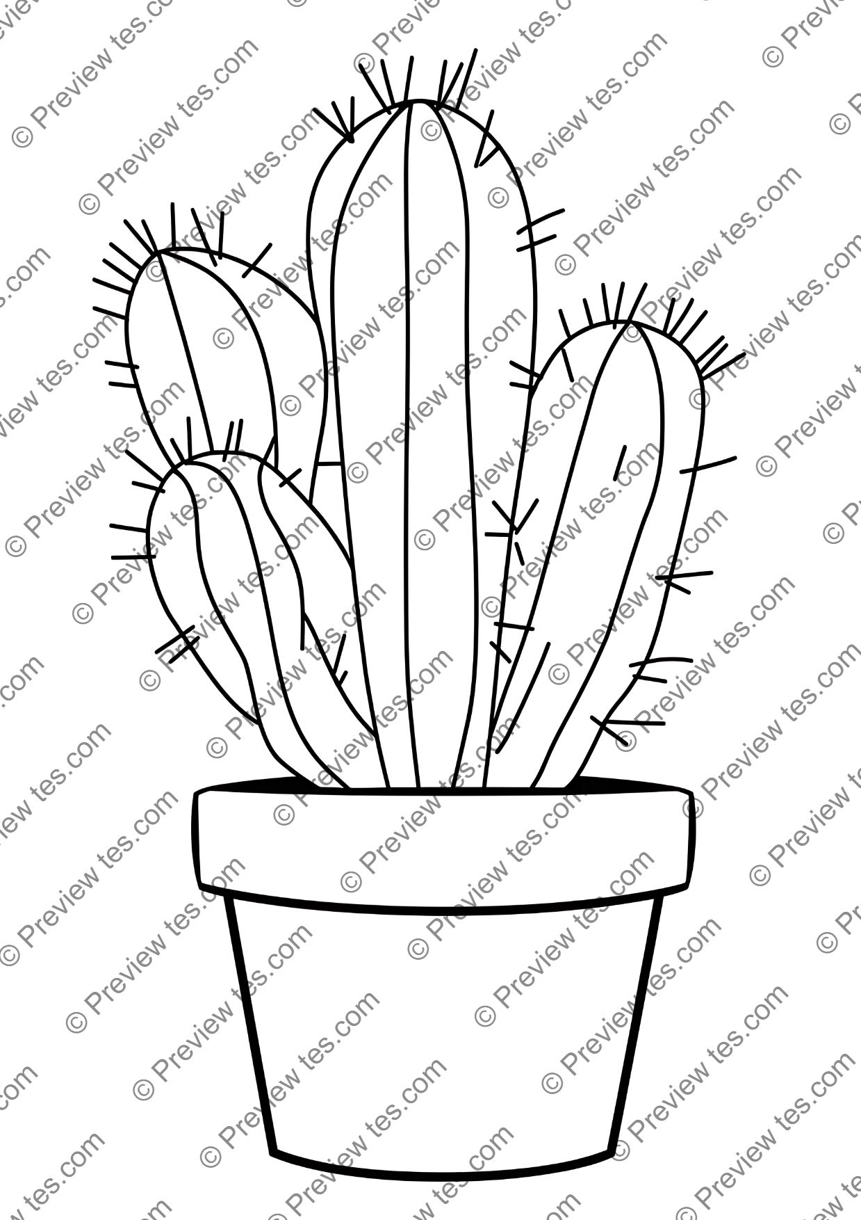 100 Plant Colouring Pages for Kids Fun Botanical Activity Sheets for ...
