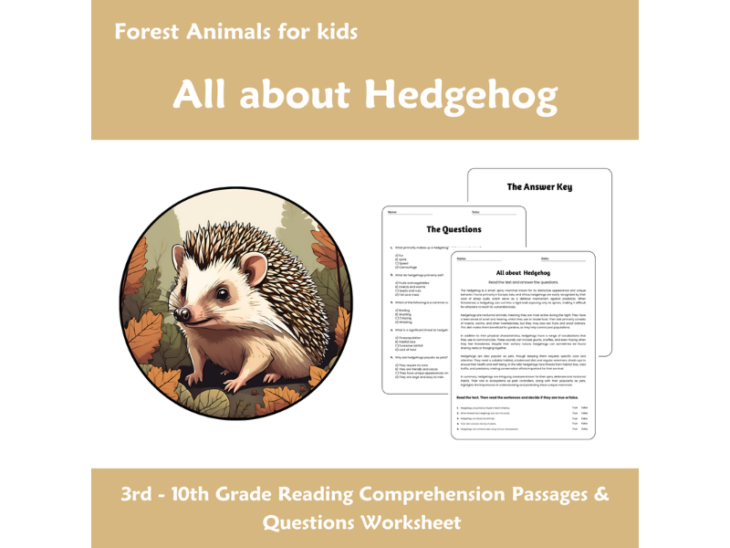All About Hedgehogs - Reading Comprehension Passages & Questions ...