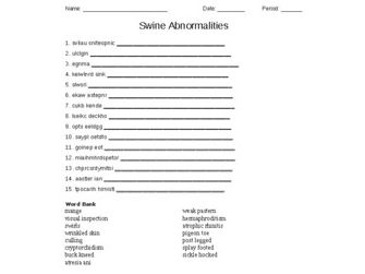 Swine Abnormalities Word Scramble | Teaching Resources