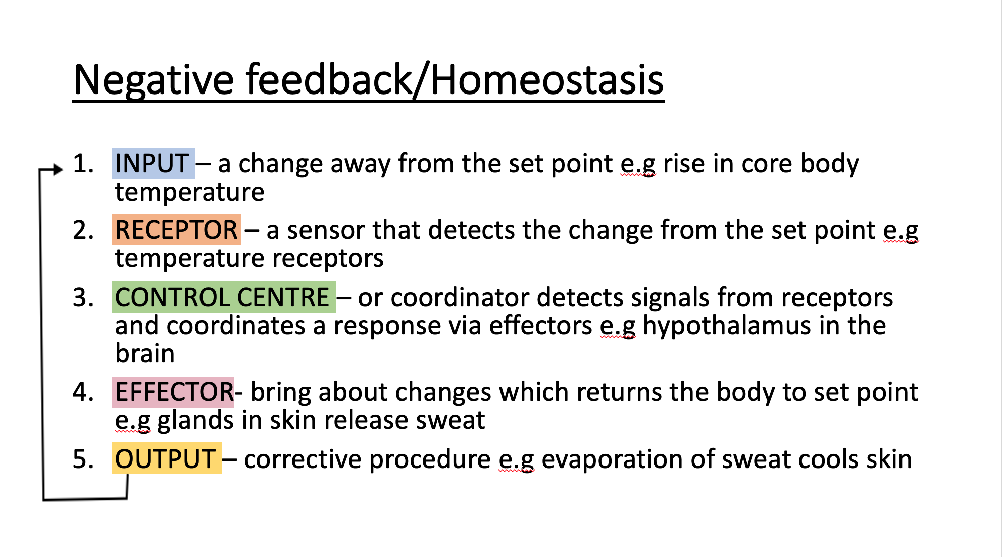 Negative feedback in the kidney- A Level Biology | Teaching Resources
