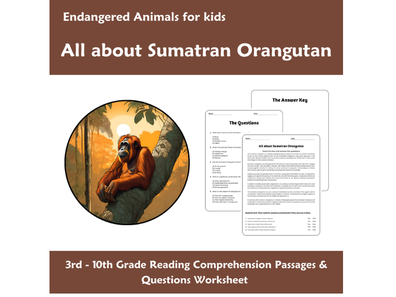 All About Sumatran Orangutans Reading Comprehension Passages ...