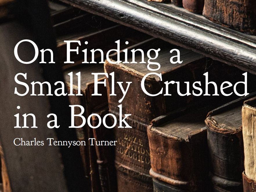 The Complete Cambridge Poetry Bundle, CAIE IGCSE Vol.1, Part 4 (2023-25 ...