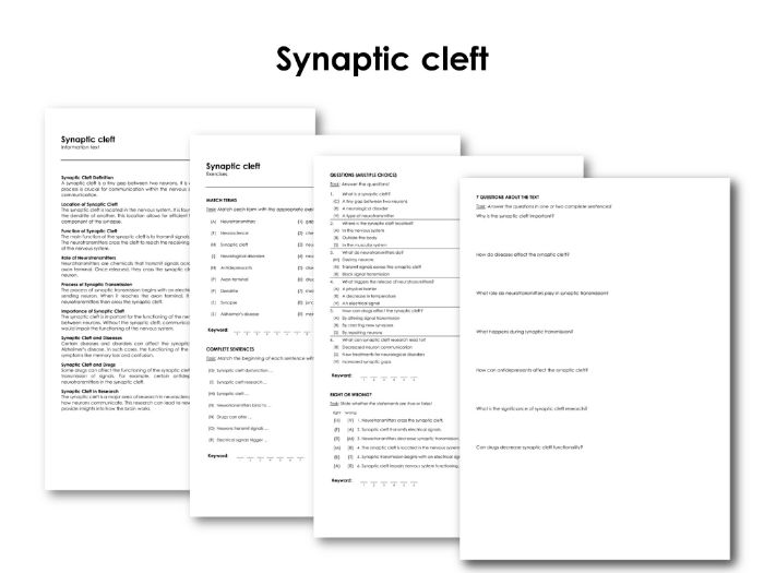 Synaptic cleft | Teaching Resources