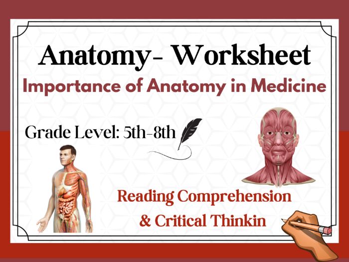 Importance of Anatomy in Medicine: Reading Comprehension Passages ...