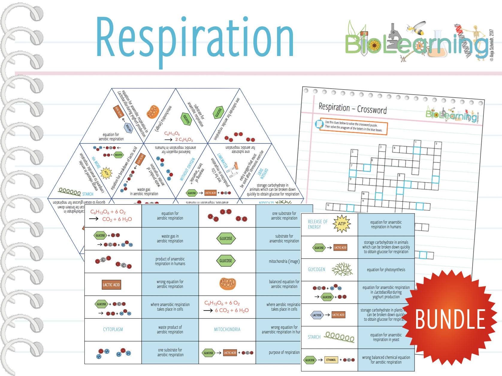 Respiration - 4x Activities and Games (KS4) | Teaching Resources