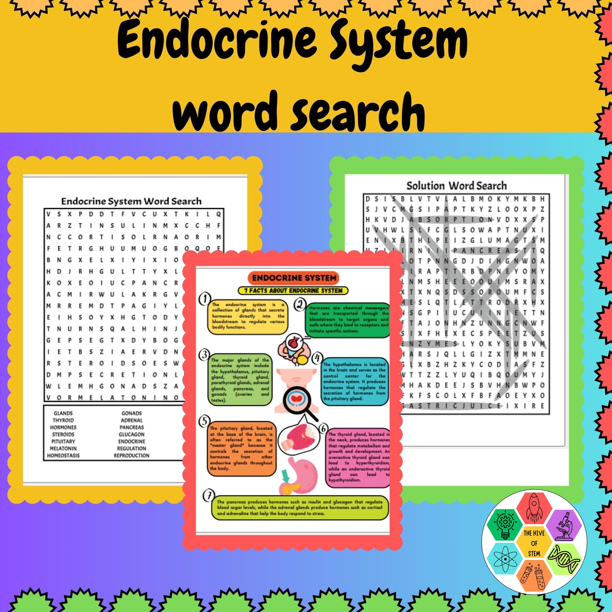 Human Body Systems | Endocrine System | Facts and Word Search ...