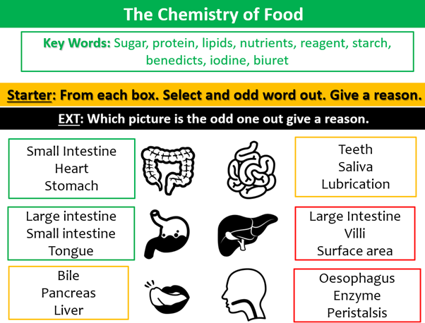 B3.3 The chemistry of food | Teaching Resources