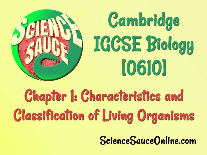 ScienceSauce's Shop - Teaching Resources - TES