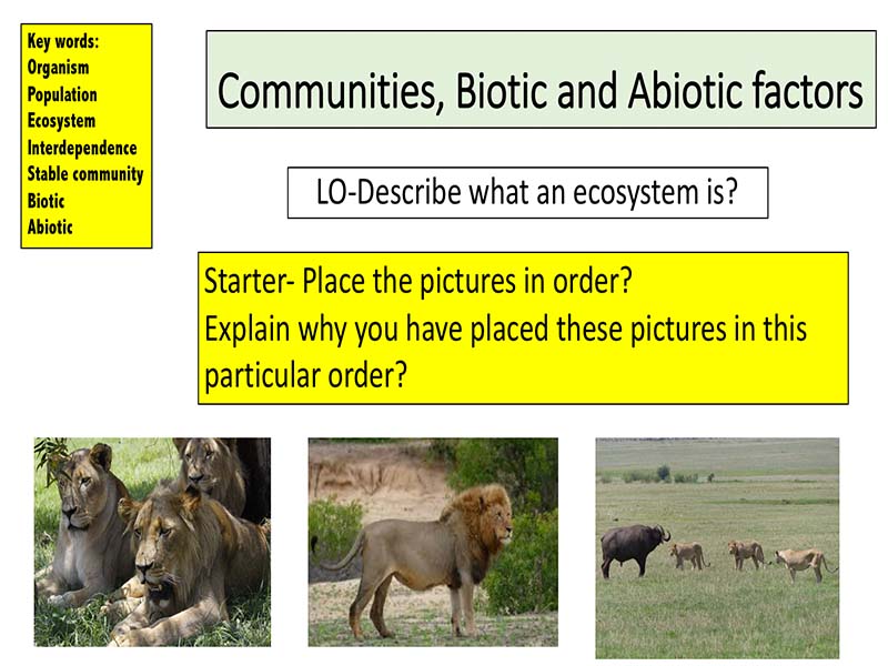 Mr Science - Teaching Resources - TES