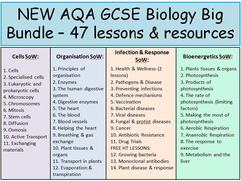 NEW GCSE Biology BIG BUNDLE: 'Cells', 'Organisation', 'Infection ...