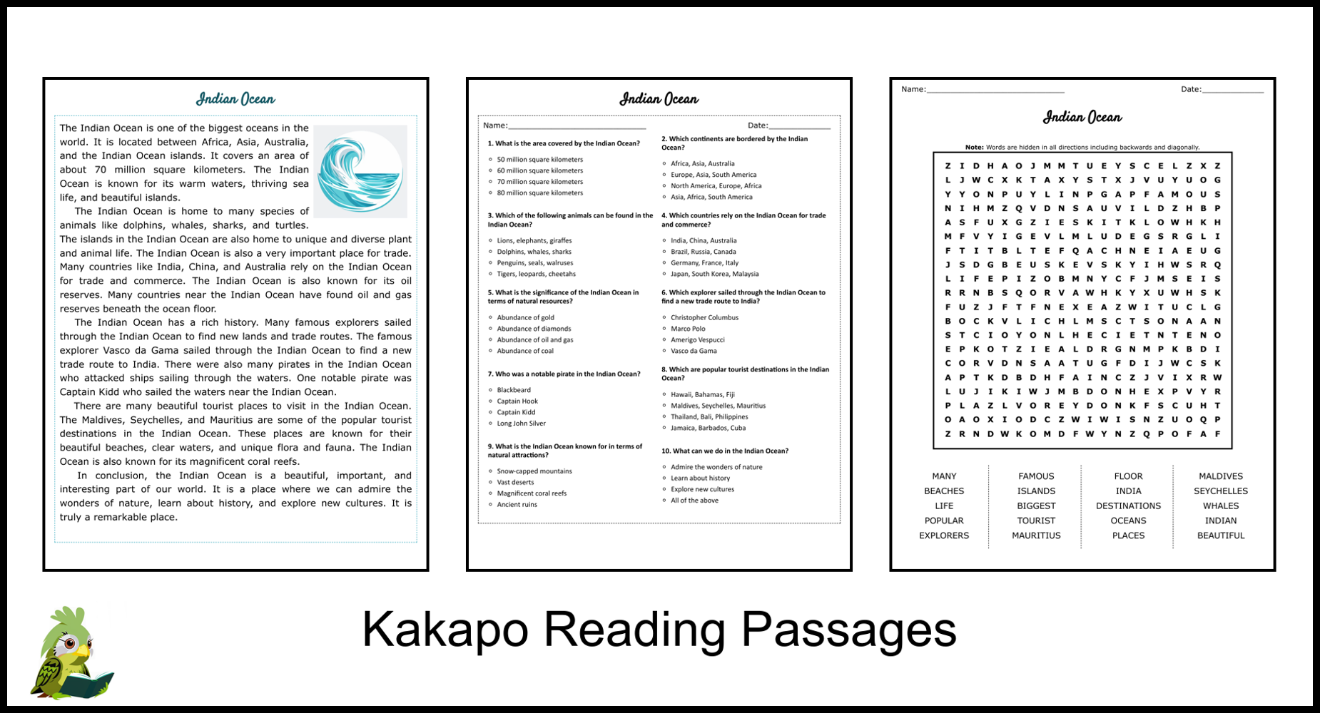Indian Ocean Reading Comprehension and Word Search | Teaching Resources