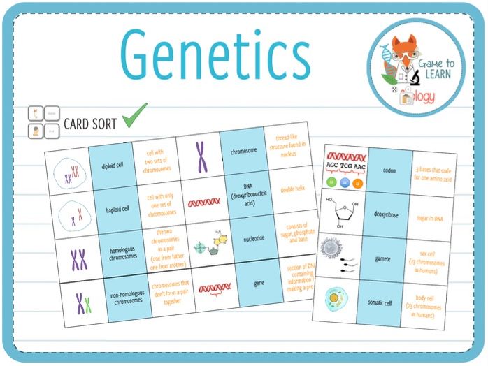 Genetics - Card sort (KS3/4) | Teaching Resources