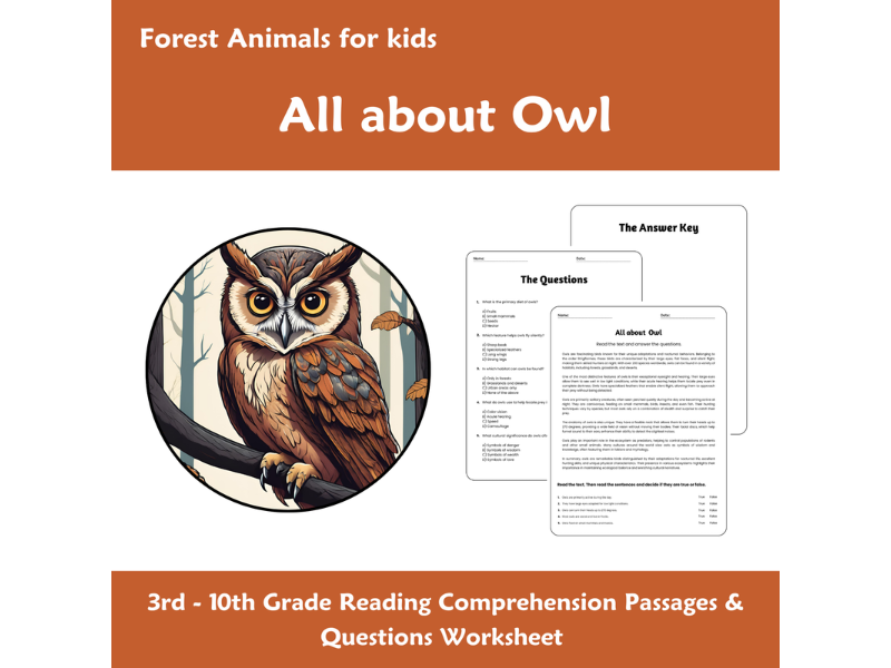 All About Owls - Reading Comprehension Passages & Questions Worksheets ...