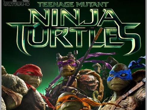 Teenage Mutant Ninja Turtles 2014 Movie Questions - UK English ...