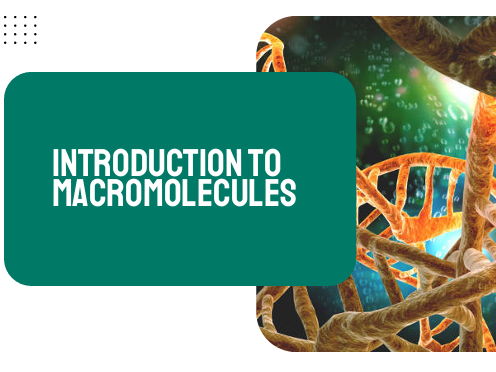 AP Biology Unit 1: Chemistry of Life Complete Unit Bundle | Teaching ...