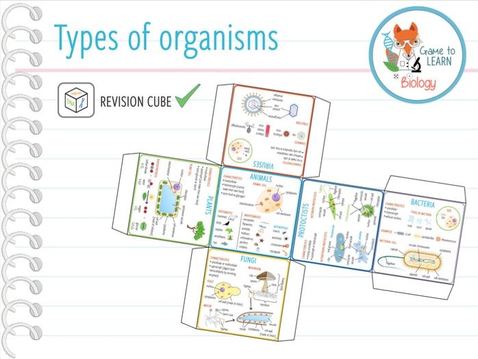 Types of organisms - Revision Cube | Teaching Resources