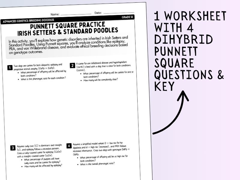 Free Applied Genetics Dogs: Dihybrid Worksheet, inheritance, Punnett ...