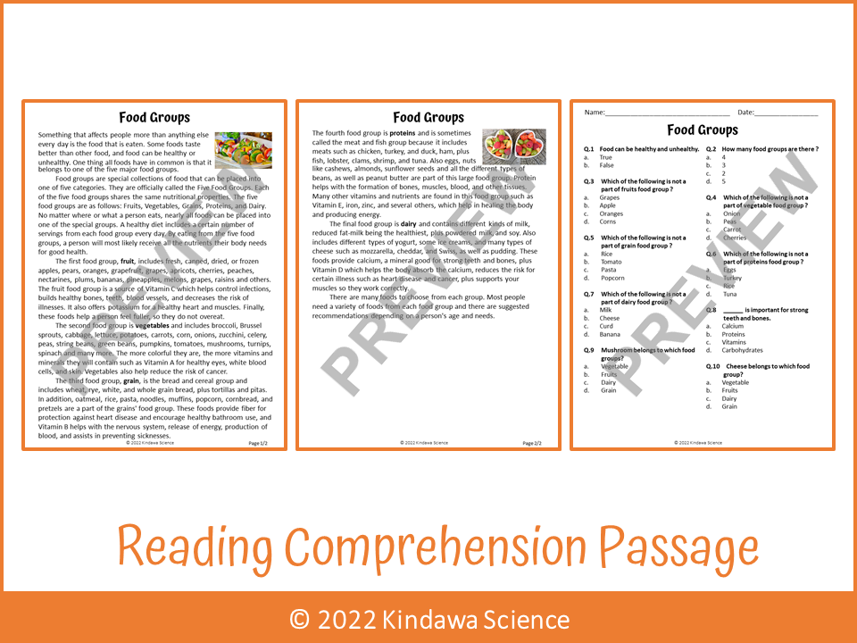 Food Groups Reading Comprehension Passage and Questions - PDF ...