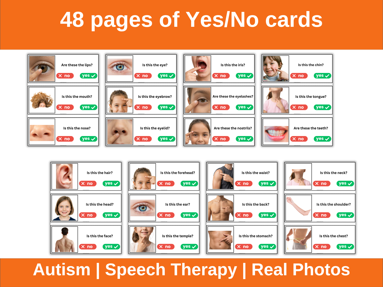Body Parts Yes/No Cards Autism | Teaching Resources