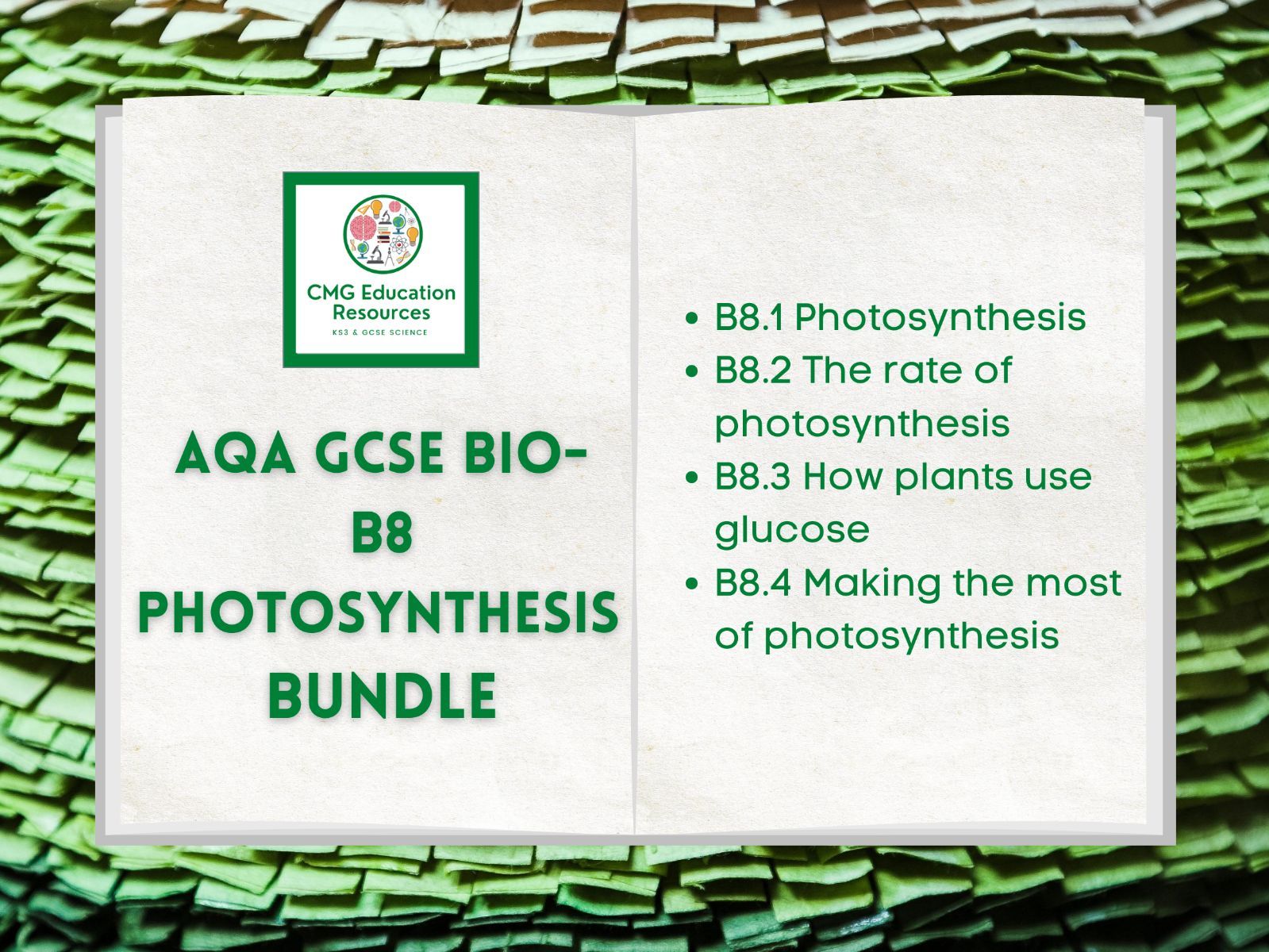 B8 Photosynthesis bundle (AQA 9-1 GCSE Biology) | Teaching Resources