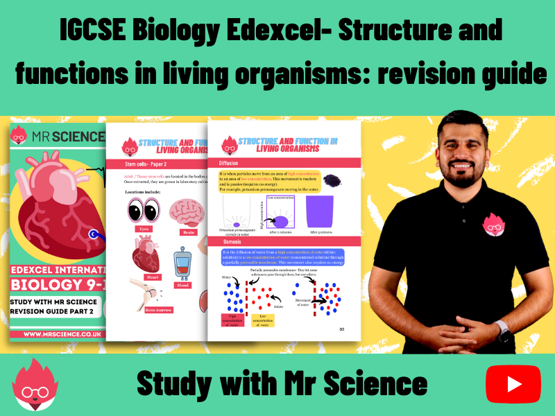 IGCSE Edexcel Biology (9-1) Structure and functions in living organisms ...