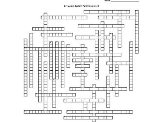 Anatomy Review Handouts Bundle | Teaching Resources