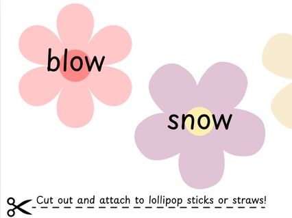 Digraph Matching Flowers - Phonics Activity | Teaching Resources