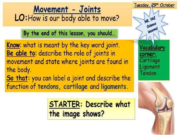 This Image Shows Some Examples Of The Movements Of Joints And Their