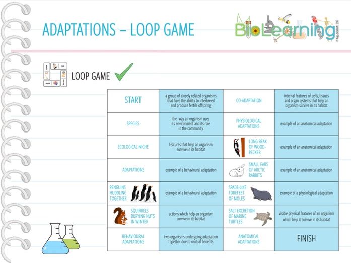 Adaptations - Loop Game (KS5) | Teaching Resources