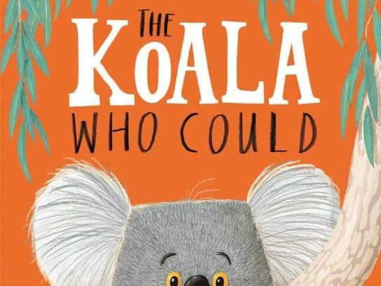 Descriptive Writing - The Koala who Could | Teaching Resources