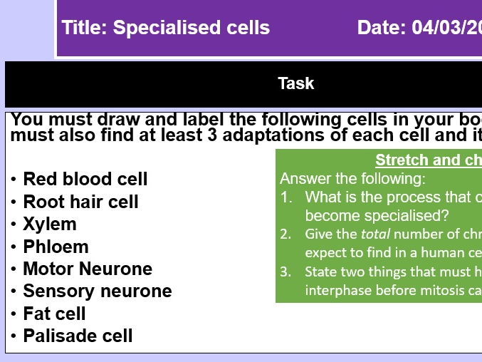 Specialised cells research lesson | Teaching Resources