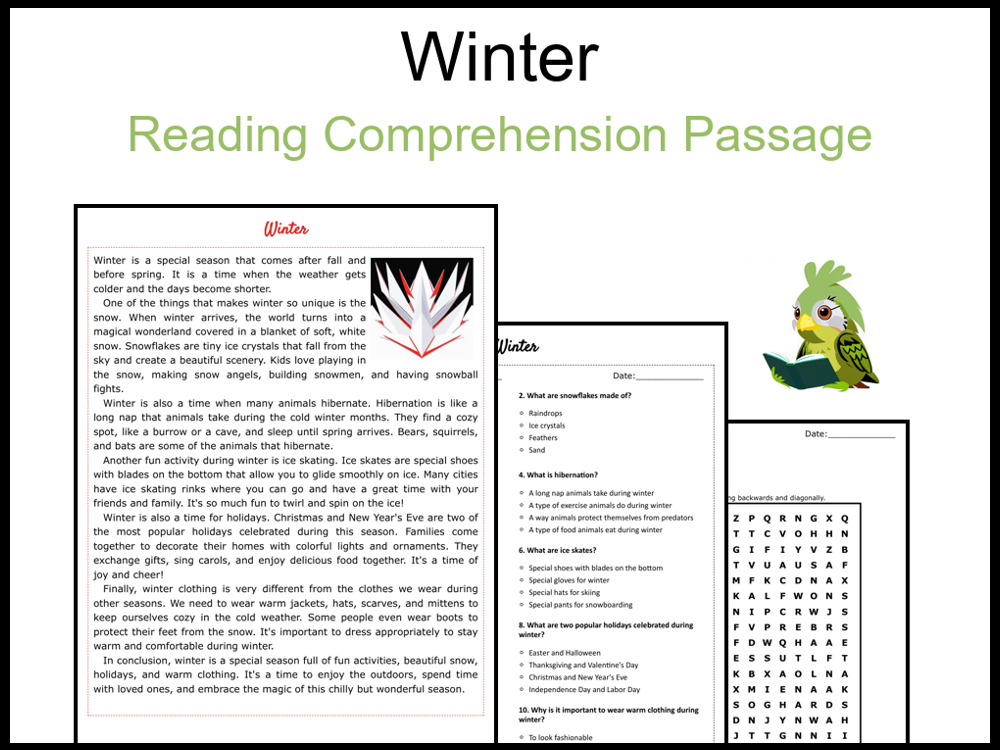 Winter Reading Comprehension and Word Search | Teaching Resources