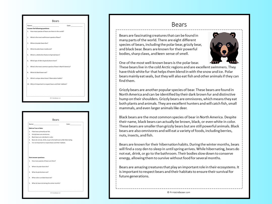 Bears Reading Comprehension Passage Printable Worksheet | Teaching Resources