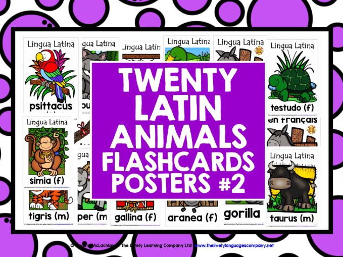 Secondary latin language and literature resources