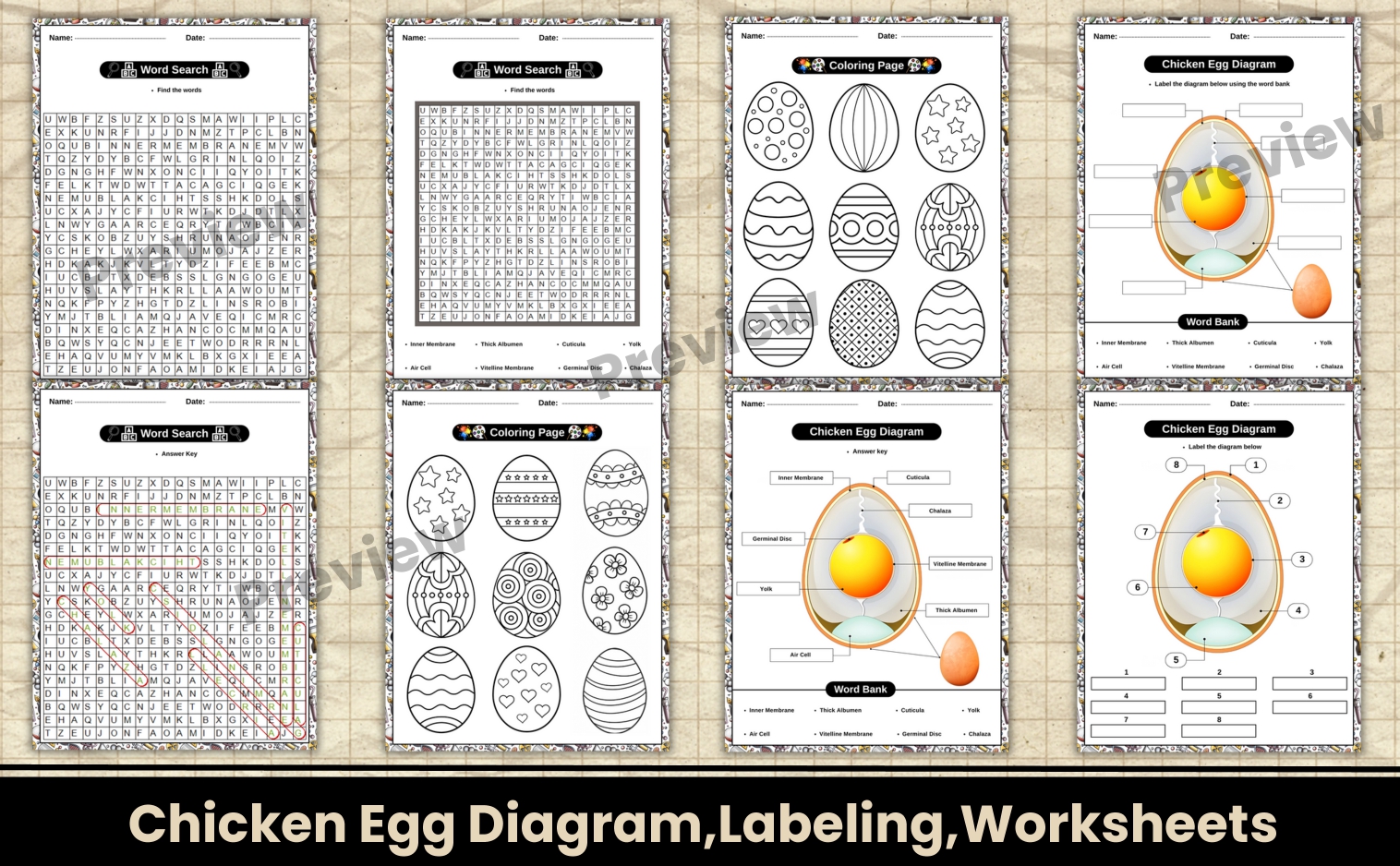 Chicken Egg Anatomy-Chicken Egg Diagram Labeling Worksheets,Word search ...