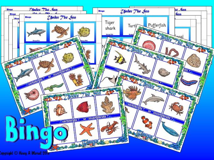 Under The Sea Bundle | Teaching Resources