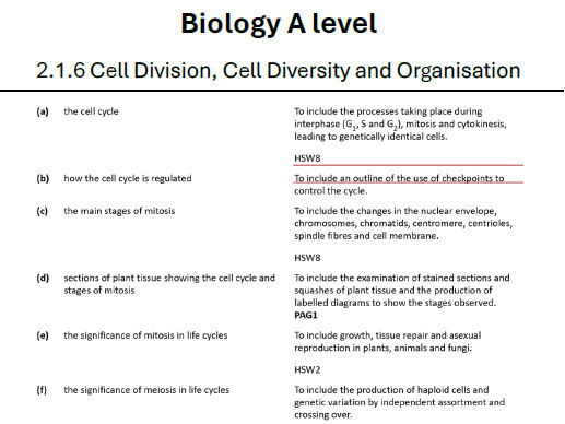 OCR A Level Biology Cell Division Booklet | Teaching Resources