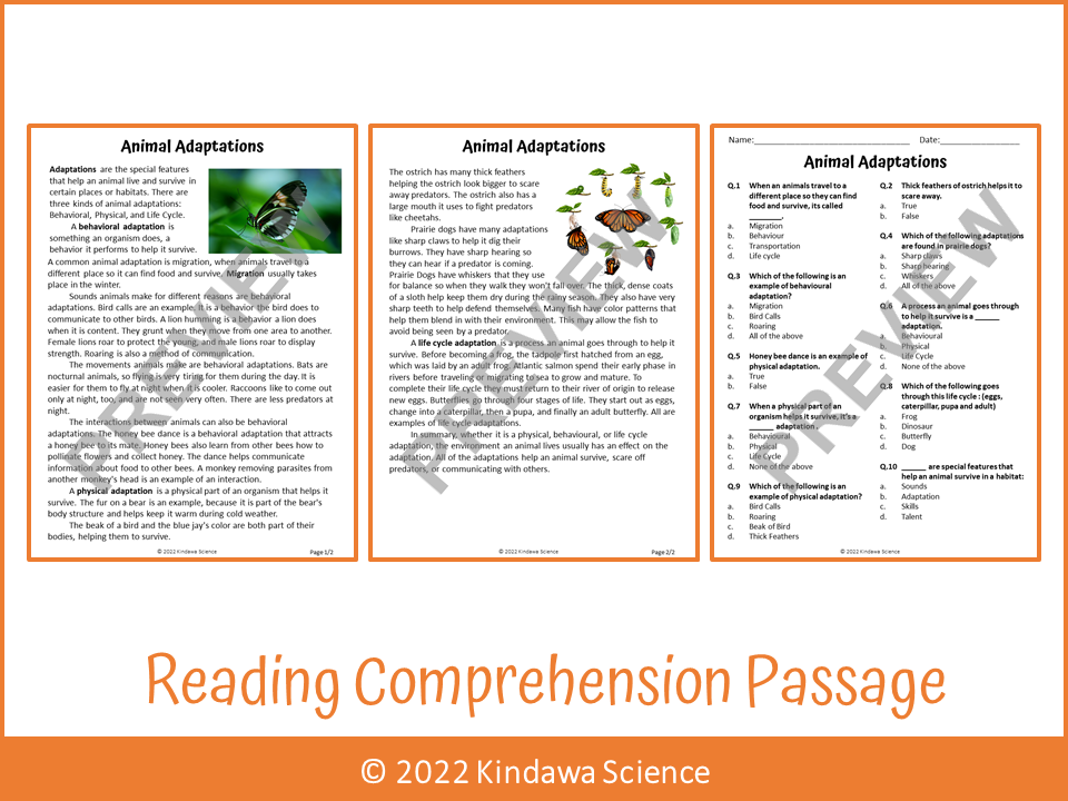 Animal Adaptations Reading Comprehension Passage and Questions - PDF ...